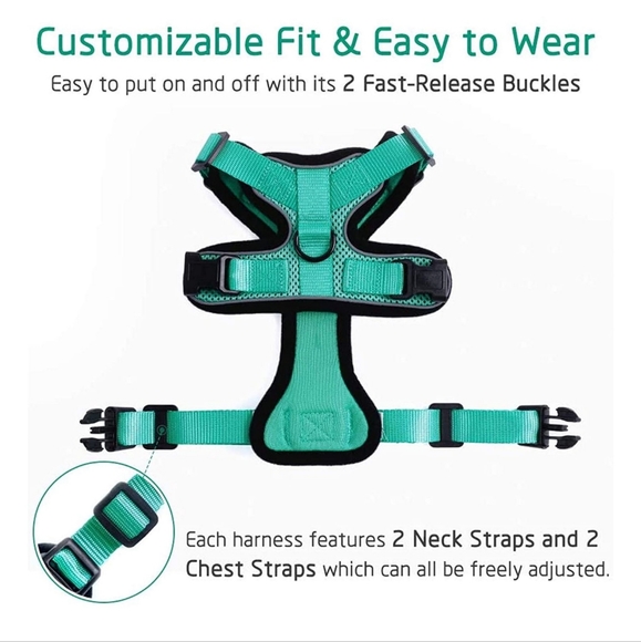 Rabbitgoo | Cat | New Rabbitgoo Emerald Teal Cat Mesh Reflective Leash ...